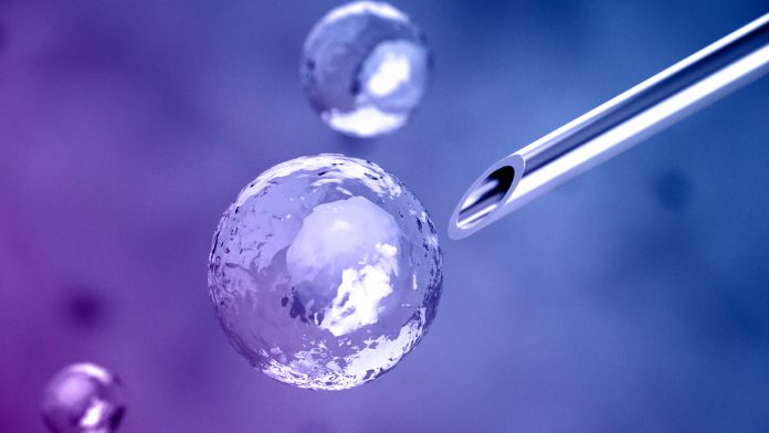 Our Training Program – TUSCEB